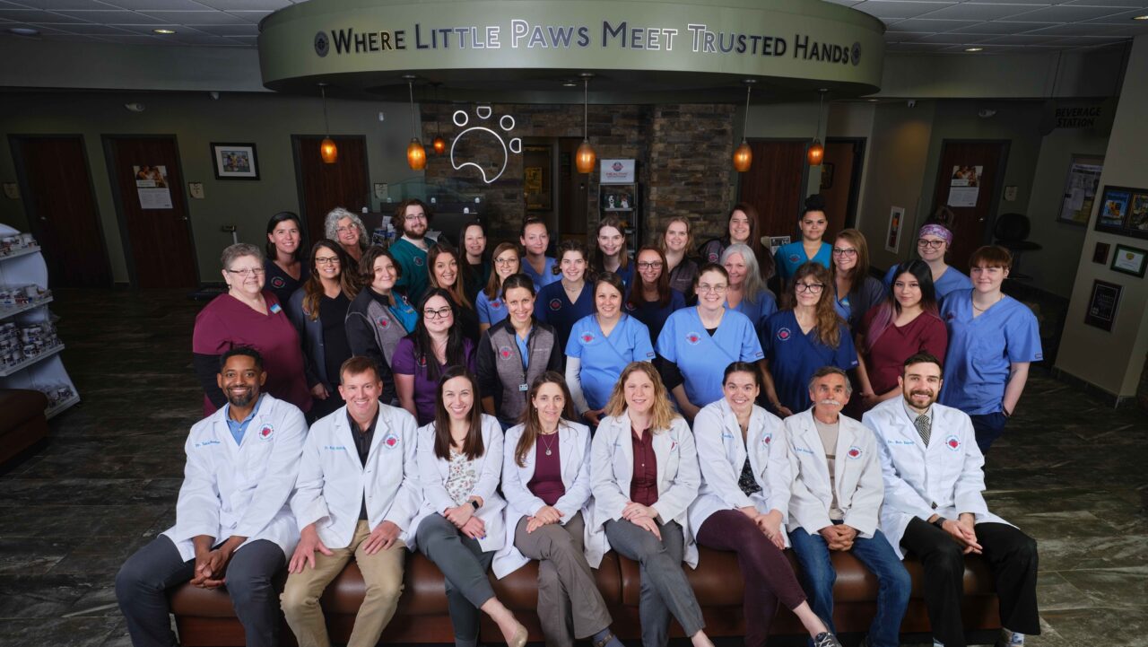 About Good Hope Animal Hospital | Vet In Mechanicsburg, PA